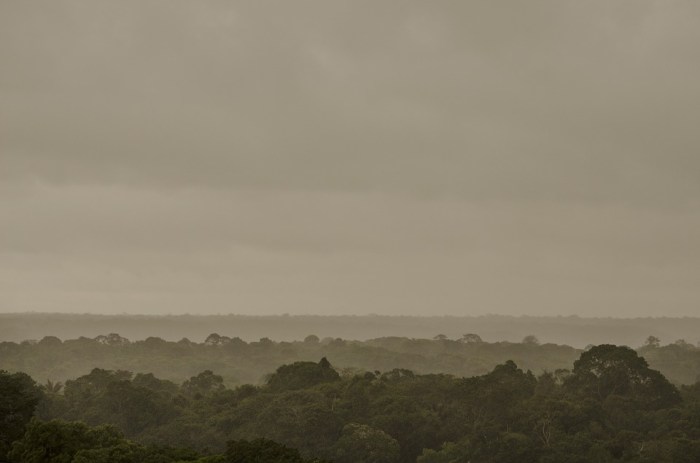 Starting Out With The Roosevelt-Rondon Expedition In Brazil | Quintus ...