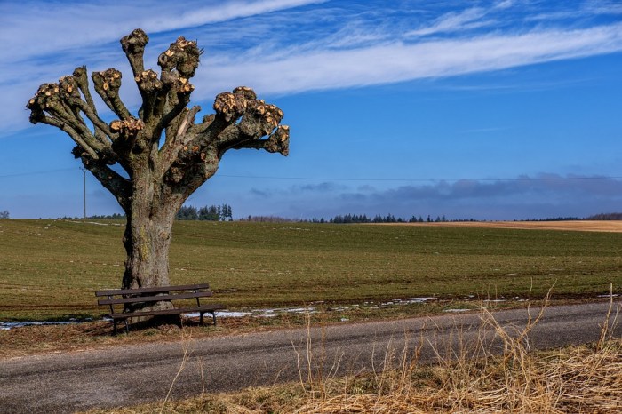 The Mutilation Of Responsibility | Quintus Curtius