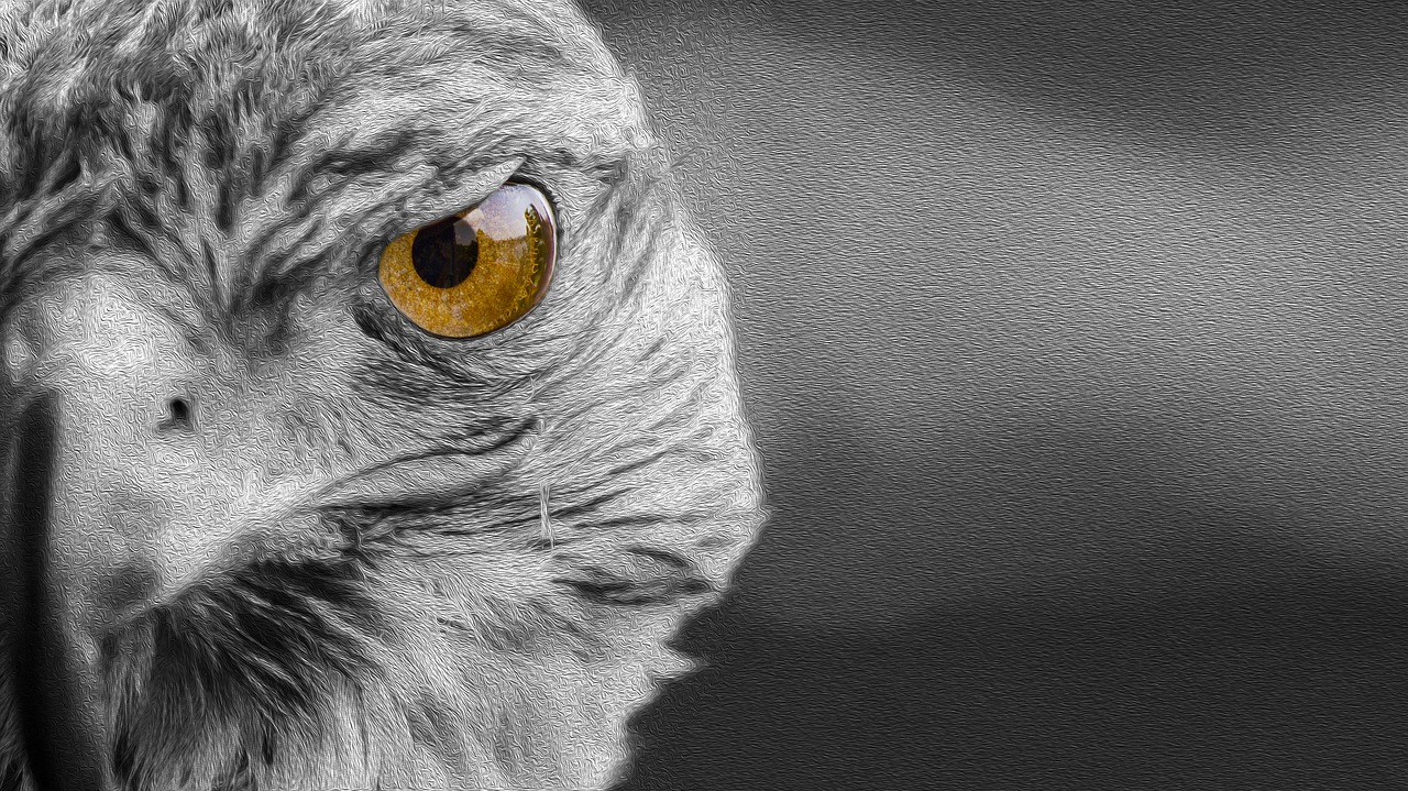 Anecdotes Related To Ya’qub Ibn Al-Laith Al-Saffar, Founder Of The ...